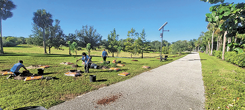 ‘Planting trees for a better tomorrow’ | Future Forestry dedicated to ...